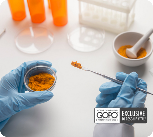 FAQ What Is Gopo? | Rose-Hip Vital